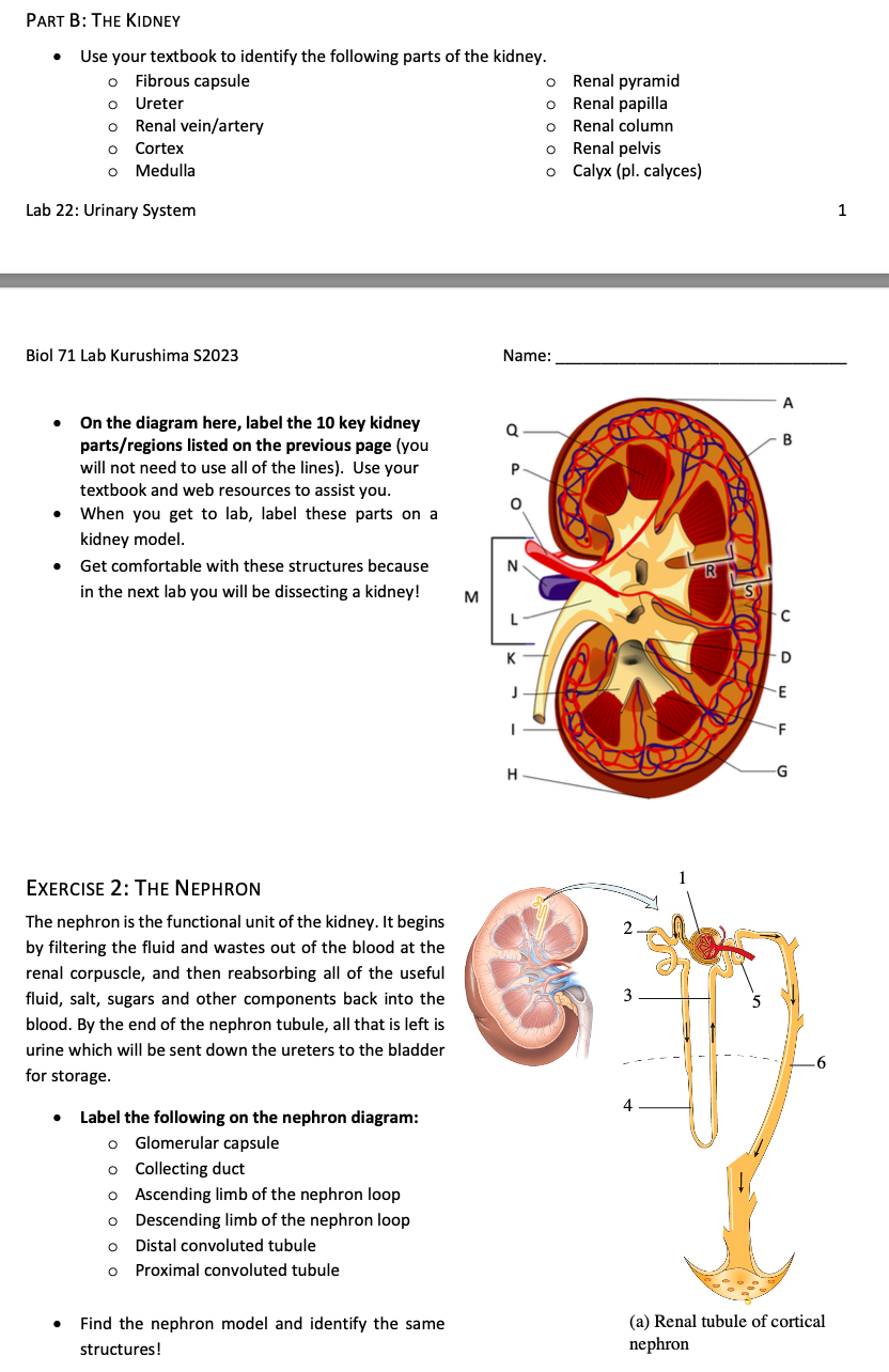 Solved - Use your textbook to identify the following parts | Chegg.com