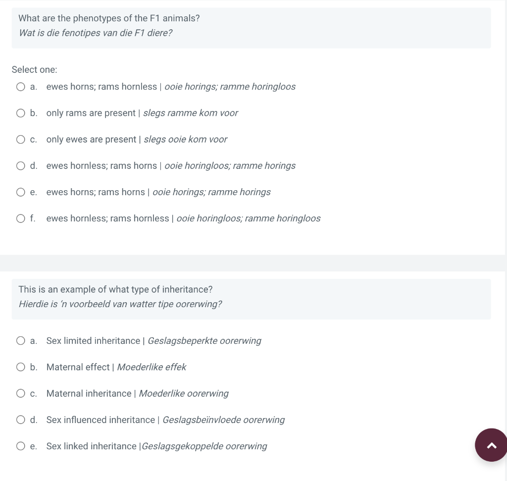 Solved In some sheep, the presence of horns is produced by | Chegg.com