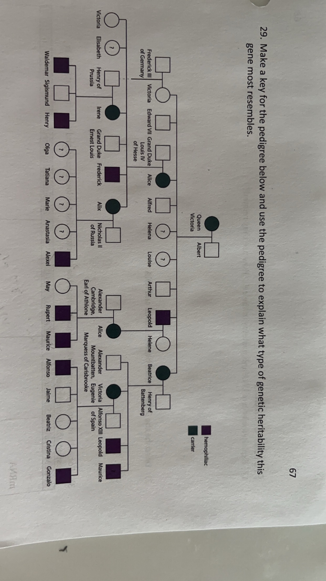 Solved 29. Make a key for the pedigree below and use the | Chegg.com