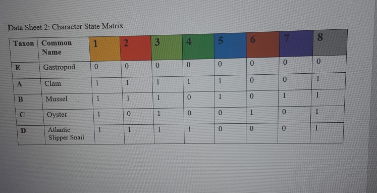 Solved Data Sheet 2: Character State Matrix Taxon Common | Chegg.com