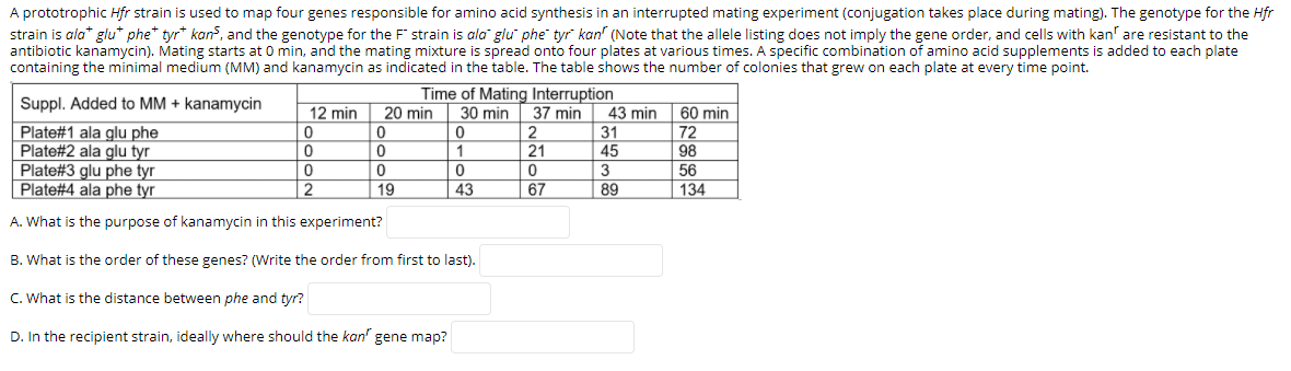 Solved A prototrophic Hfr strain is used to map four genes | Chegg.com
