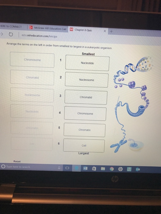 Solved Arrange The Terms On The Left In Order From Smallest