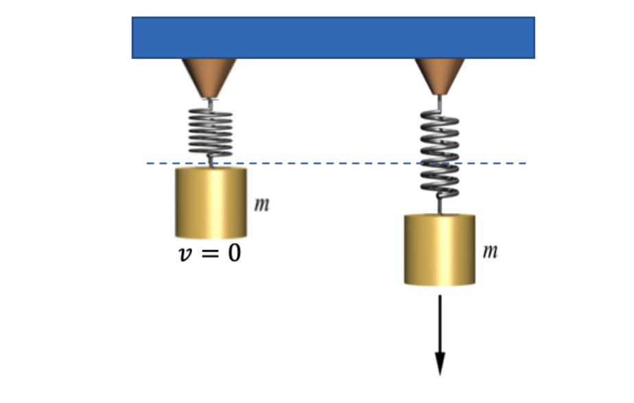 Solved Consider a massless spring of rest length L and | Chegg.com