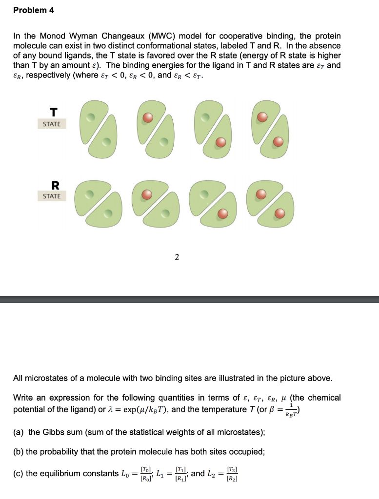 Problem 4 In the Monod Wyman Changeaux (MWC) model | Chegg.com