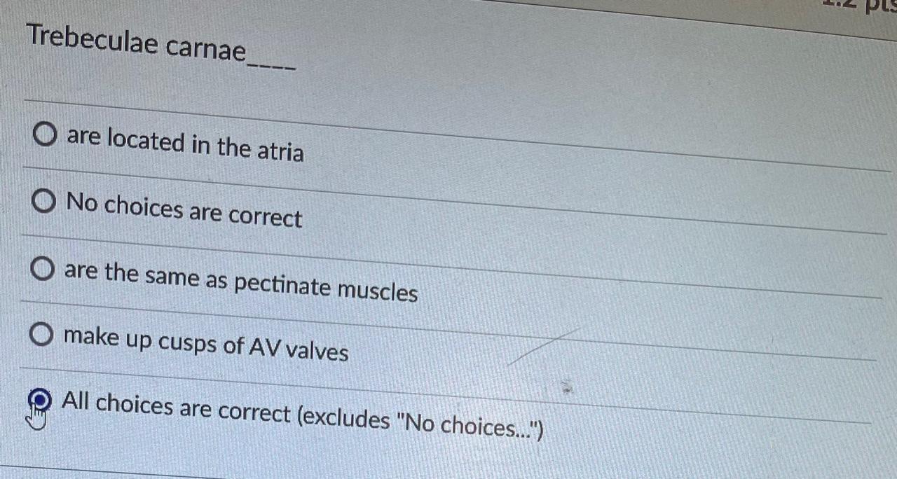Solved Trebeculae carnae are located in the atria No choices | Chegg.com