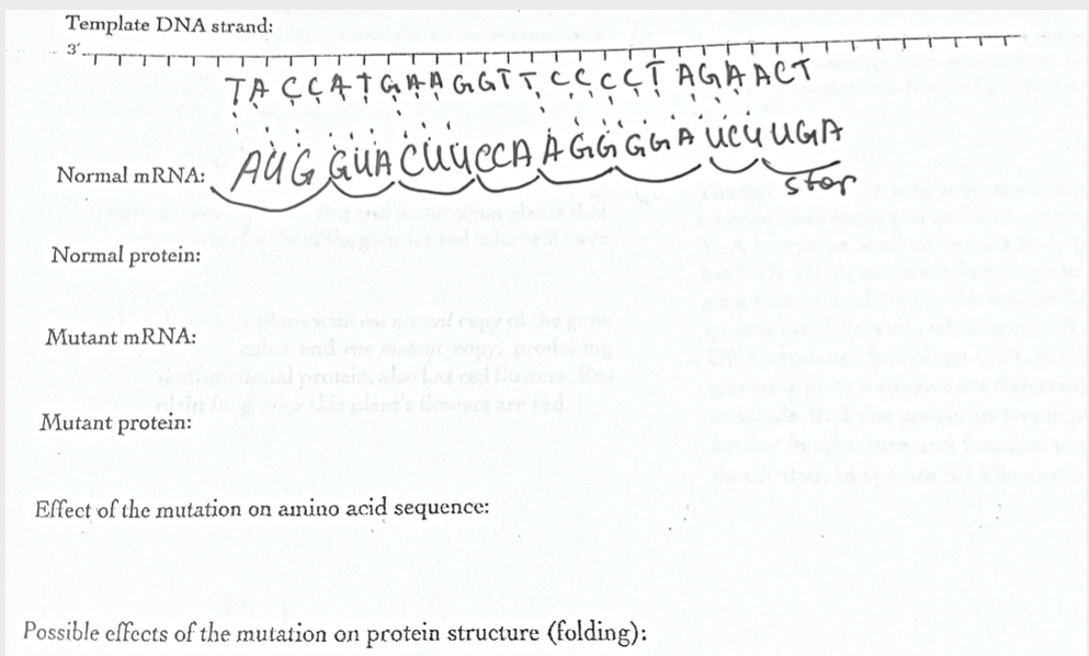 Solved 11. On Worksheet 2, create a gene! NOTE: The table of | Chegg.com
