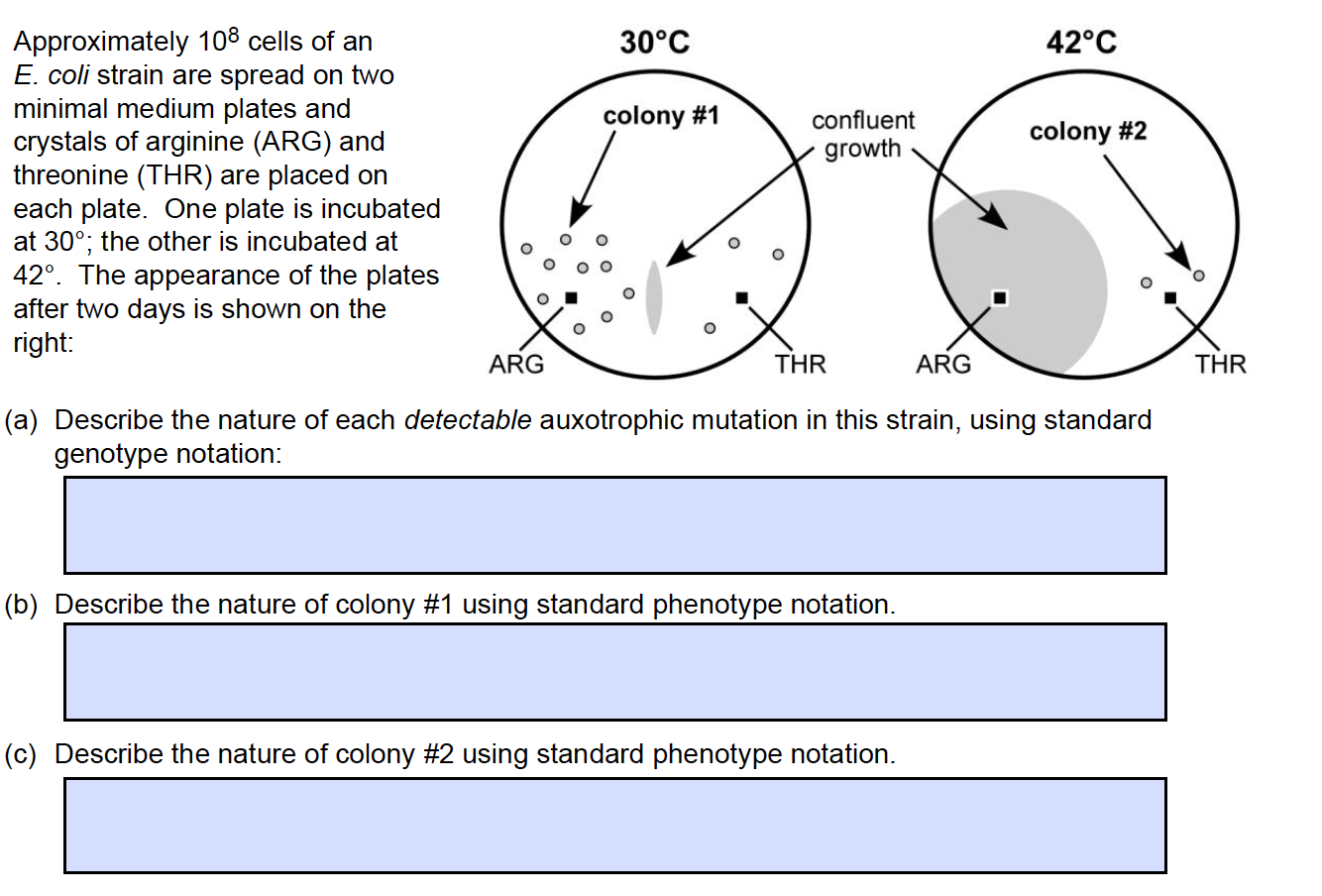 30°C 42°C colony #1 confluent growth colony #2 | Chegg.com