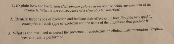 Solved 1. Explain how the bacterium Helicobacter pylori can | Chegg.com