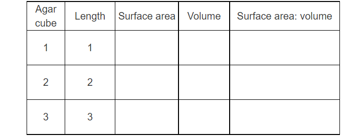 Solved Agar cube Length Surface area Volume Surface area: | Chegg.com