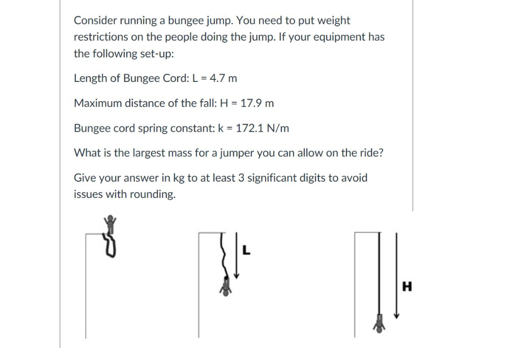 Solved Consider running a bungee jump. You need to put | Chegg.com