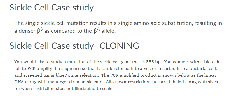 Solved Sickle Cell Case study The single sickle cell | Chegg.com