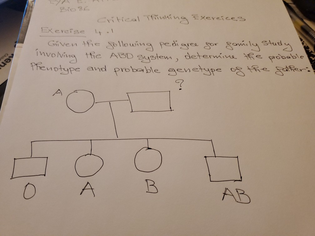 Solved Critical Thinking Exercices Exercise 4.1 . Given the | Chegg.com