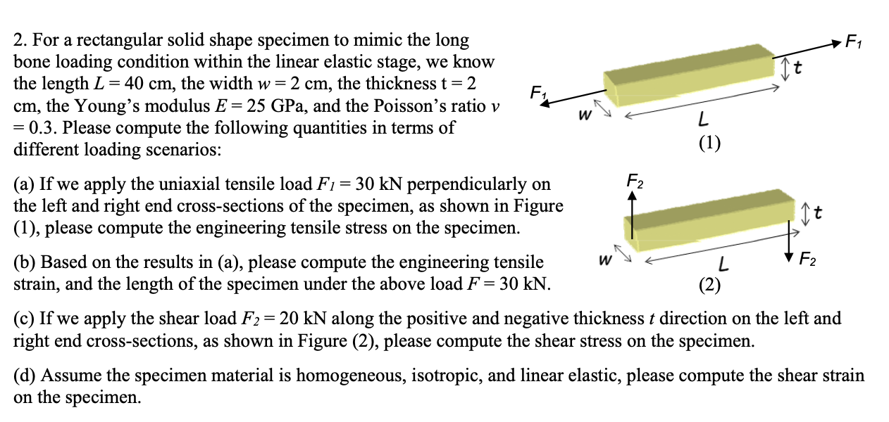 Solved For a rectangular solid shape specimen to mimic the | Chegg.com