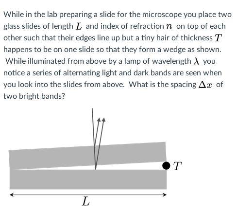 Solved While in the lab preparing a slide for the microscope | Chegg.com