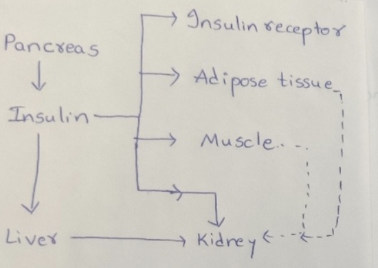 Solved explain this in details please | Chegg.com