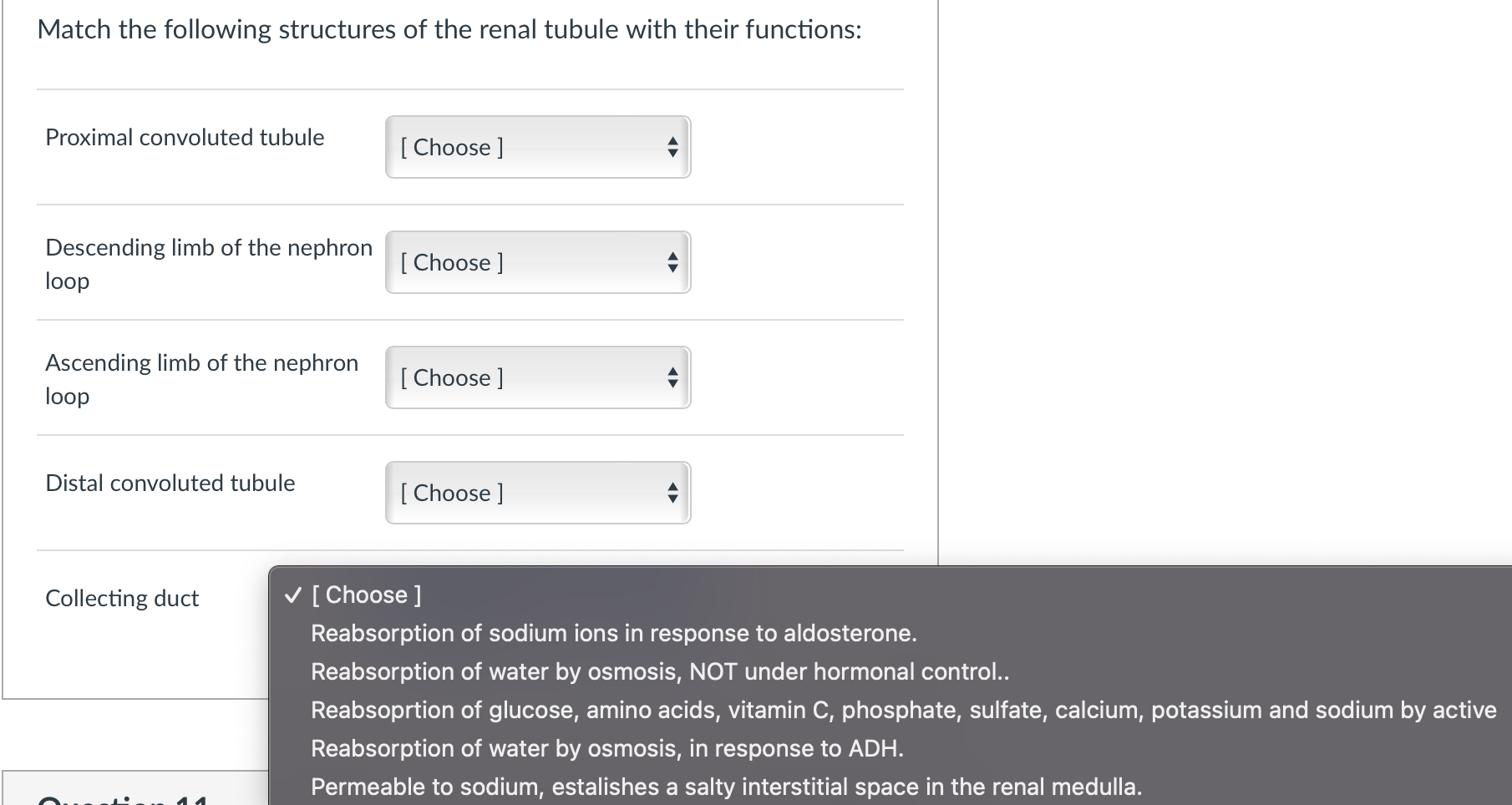 Solved Match the following structures of the renal tubule | Chegg.com