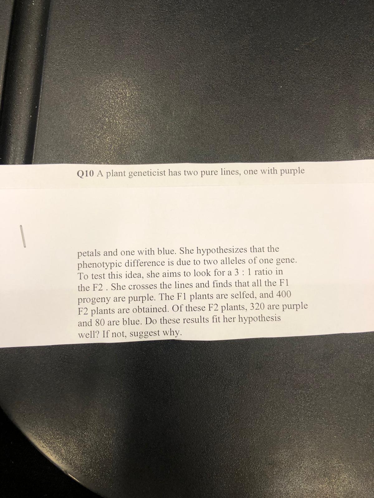 Solved Q10 ﻿A plant geneticist has two pure lines, one with | Chegg.com
