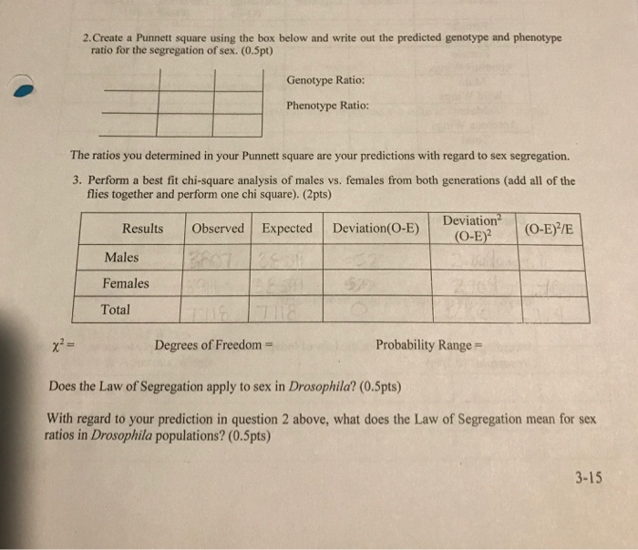 Solved 2019 General Genetics Lab 3- Drosophila Genetics 5 | Chegg.com