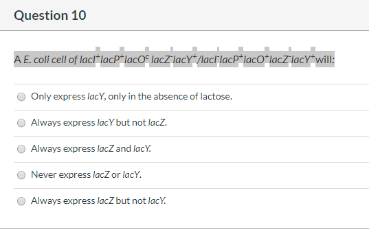 Solved Question 10 A E. coli cell of laci*lacPlaco lacZ | Chegg.com