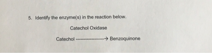 Solved 5. Identify the enzyme(s) in the reaction below. | Chegg.com