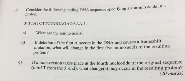Solved onsider the following coding DNA sequence specifying | Chegg.com