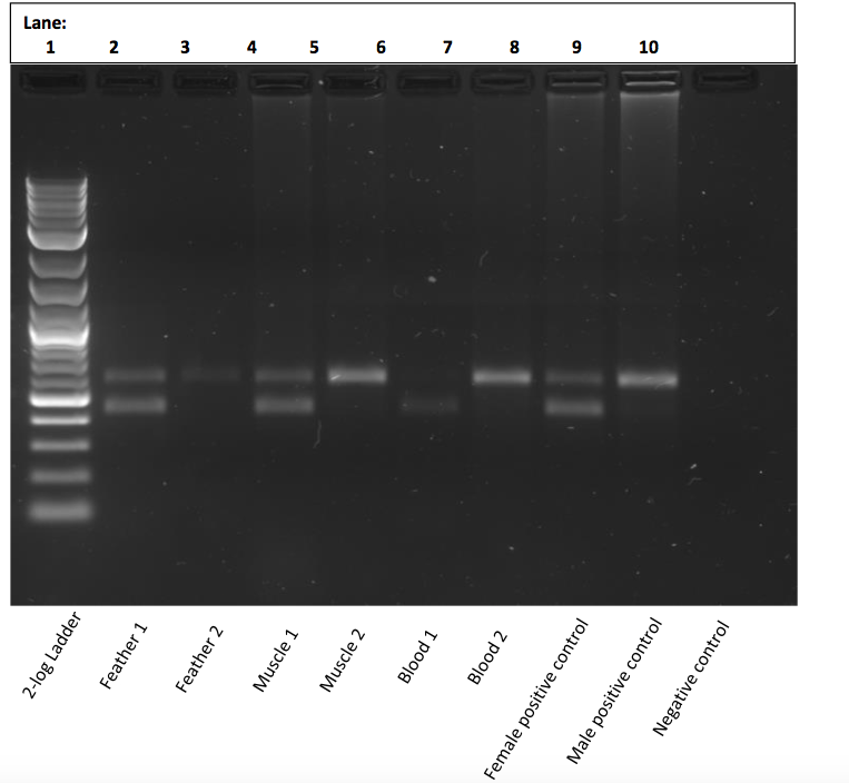 Solved Can you help me determine whether the following | Chegg.com