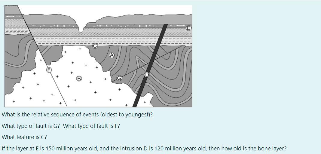 Solved + А) G What is the relative sequence of events | Chegg.com
