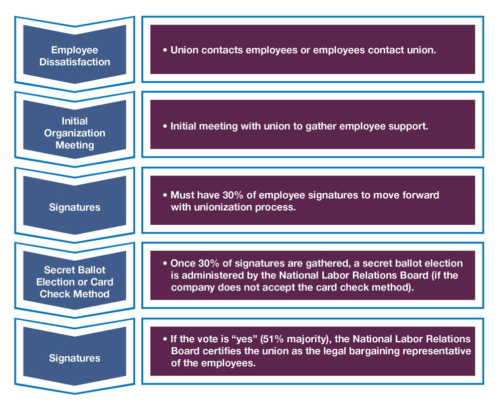 Solved Review the unionization process (Figure 12.3). At | Chegg.com