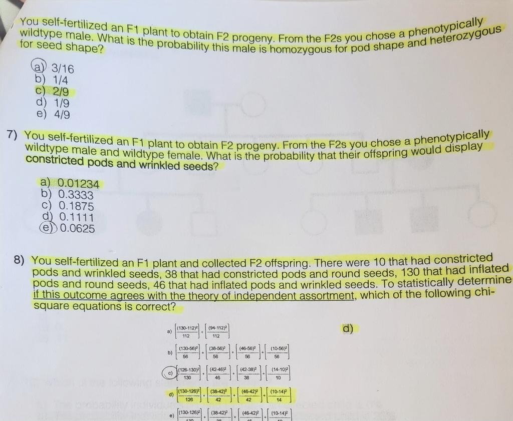 Solved Problem Set 1: Questions 1-10 Wildtype pea plants | Chegg.com