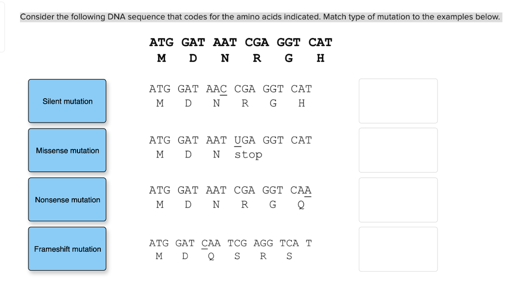 Solved Consider the following DNA sequence that codes for | Chegg.com