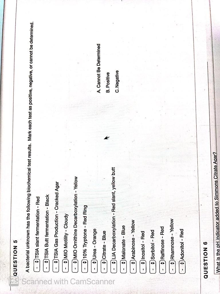 Solved QUESTION 5 A bacterial unknown has the following | Chegg.com