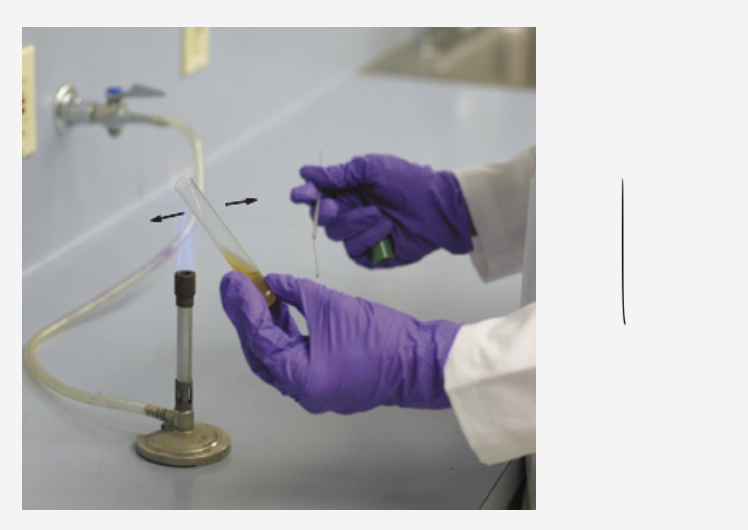 Solved Ў 2 3 | Chegg.com