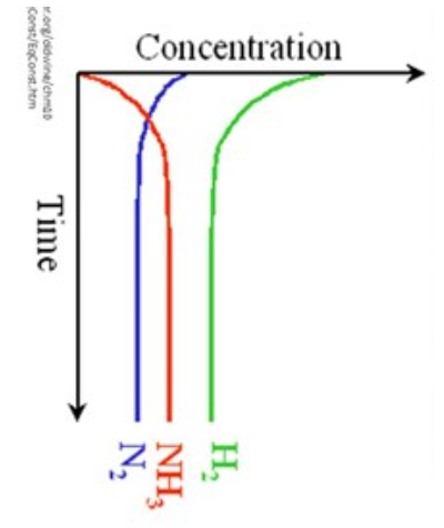 Solved Which of the following reactions is illustrated in | Chegg.com