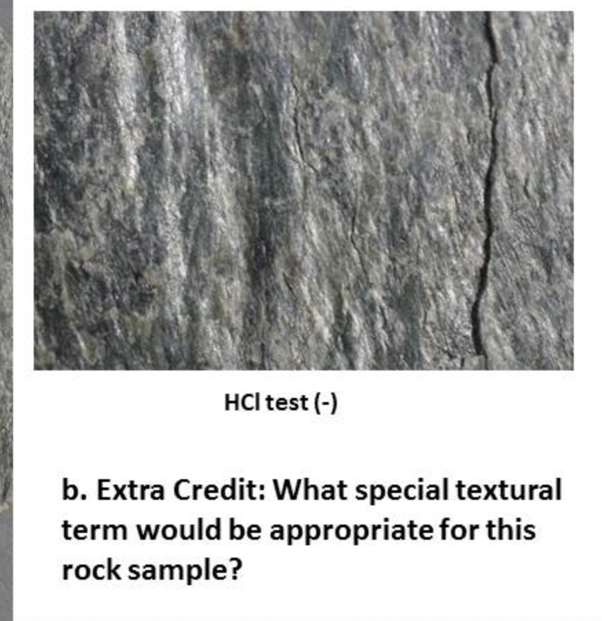 Solved Answer bank: Porphyroblastic Porphyroclastic | Chegg.com