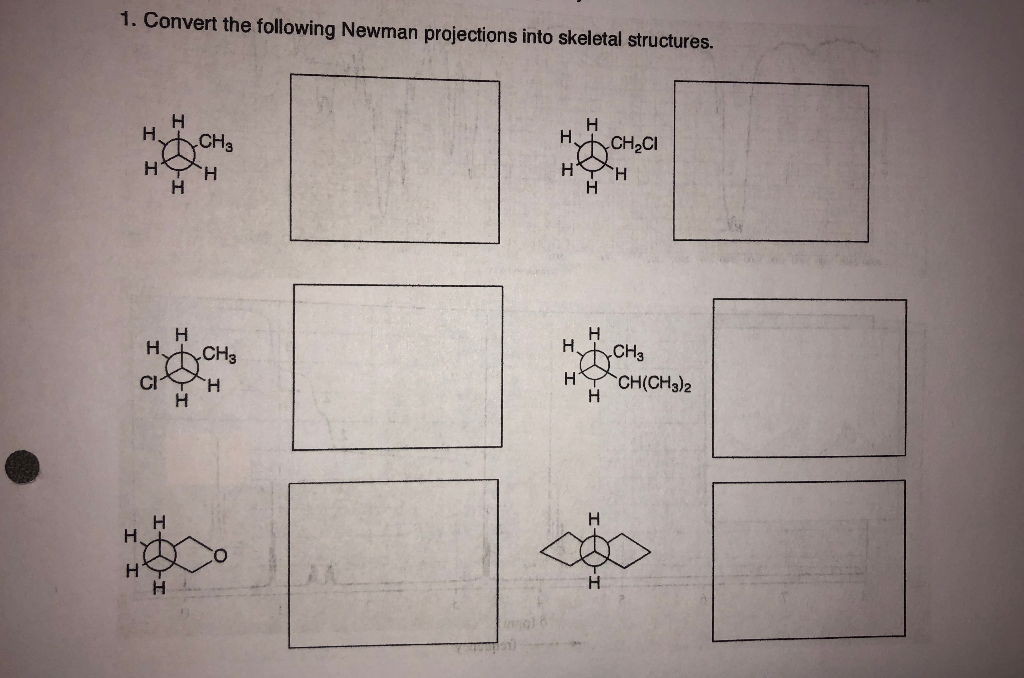 Solved 1. Convert the following Newman projections into | Chegg.com