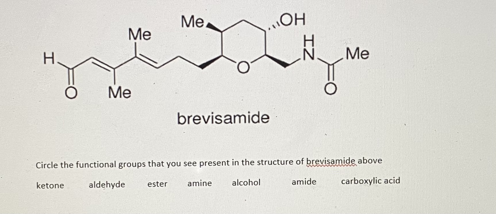 Solved brevisamide Circle the functional groups that you see | Chegg.com