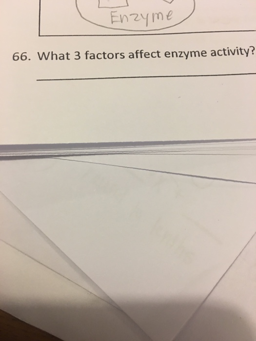 Solved What 3 factors affect enzyme activity? | Chegg.com