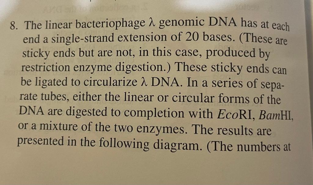 Solved a 8. The linear bacteriophage à genomic DNA has at | Chegg.com