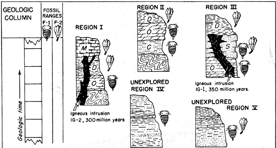 Solved Part 2: Biostratigraphic correlation is | Chegg.com