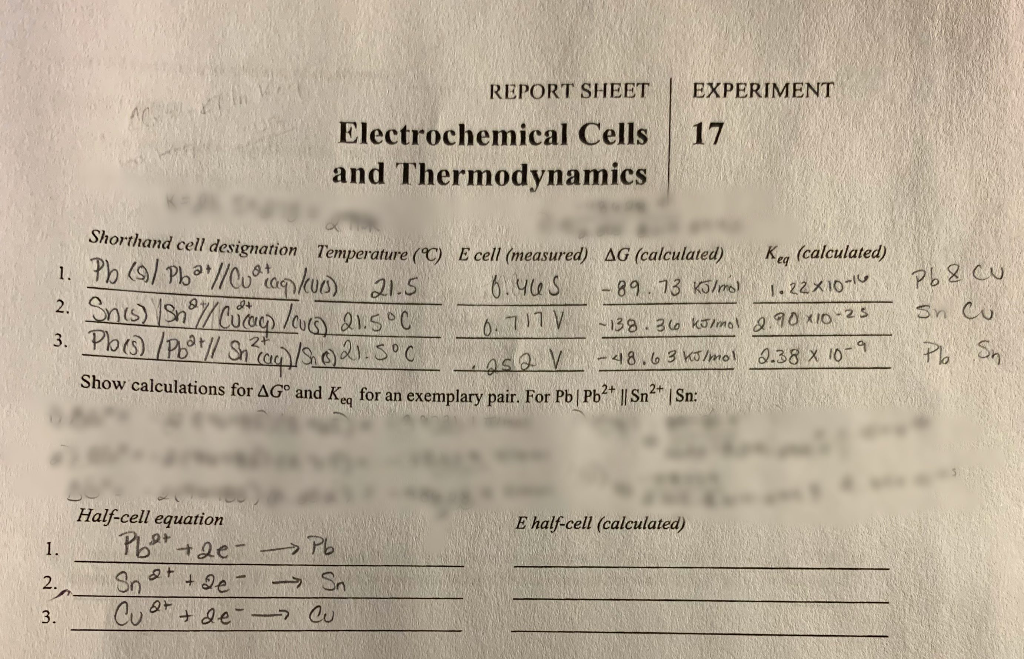 Solved REPORT SHEET Electrochemical Cells and Thermodynamics | Chegg.com
