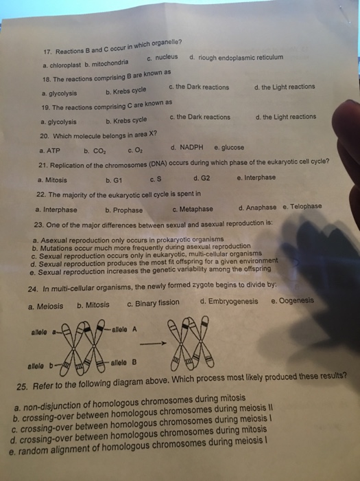 Solved c. Membrane channels -d. Structural components of | Chegg.com