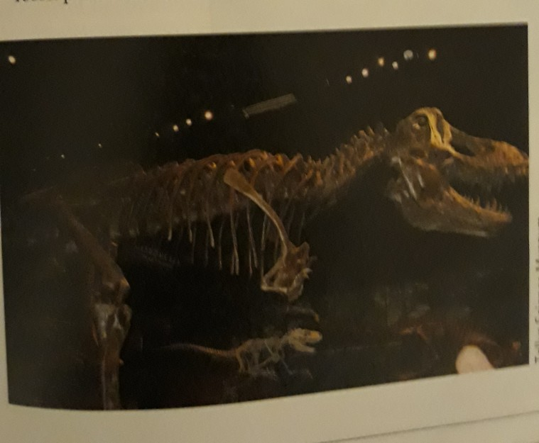 Solved race Fossils Exercises 6. Examine the specimen in the | Chegg.com