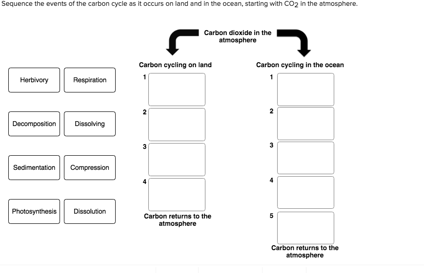 Solved Sequence the events of the carbon cycle as it occurs | Chegg.com