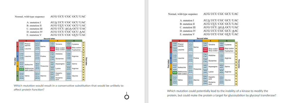 Solved Normal, wild-type sequence AUG UCU CGC GCU UAC UC | Chegg.com