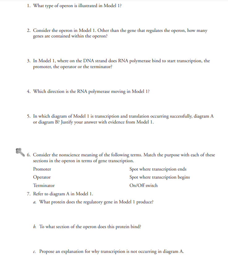 Solved Model 1 - An Inducible Operon Diagram A Regulatory | Chegg.com