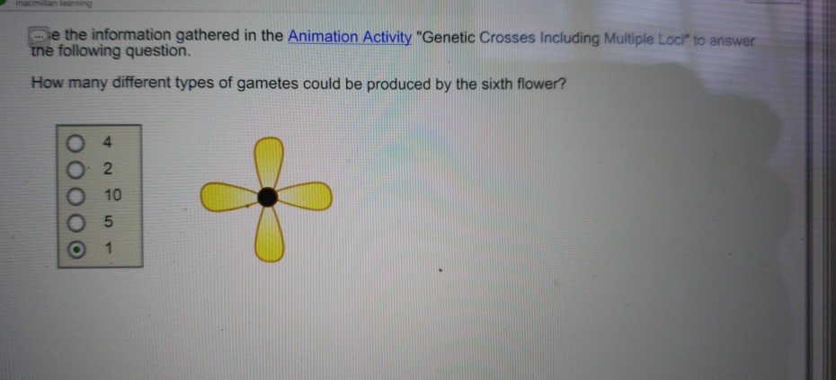 the information gathered in the Animation Activity | Chegg.com