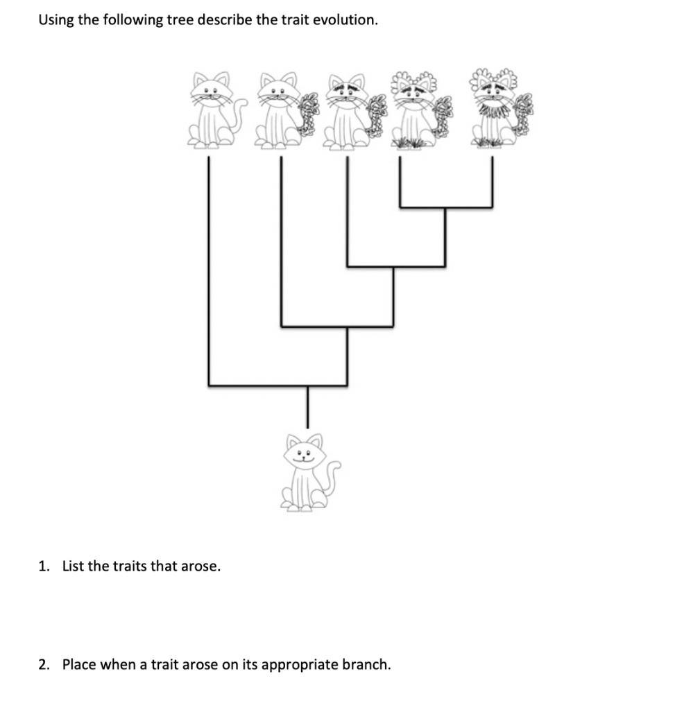 Solved Using the following tree describe the trait | Chegg.com