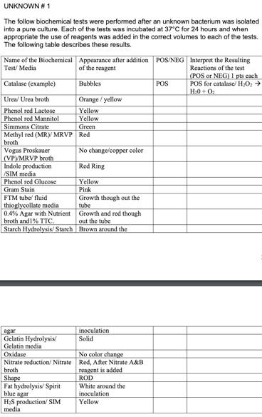 Make a flow chart to identify the unknown bacterium | Chegg.com