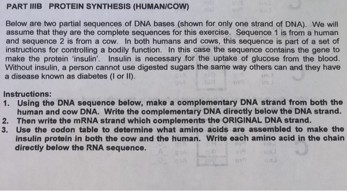 Solved 1. Using the DNA sequence below, make a complementary | Chegg.com