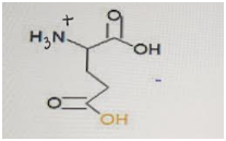 Solved 1. a) determine the isoelectric point of lysine and | Chegg.com